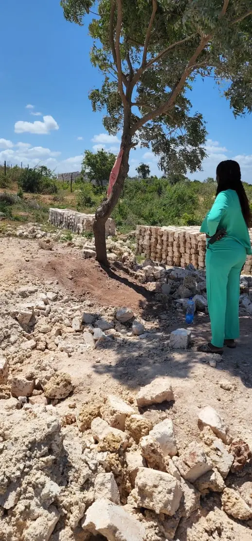 Welcome to Drexler Consulting